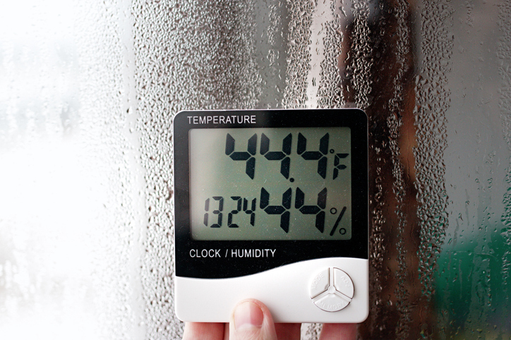 The Hidden Dangers of Humidity and How to Combat Mold Growth