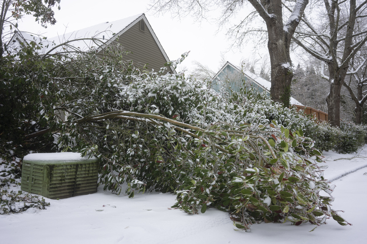 The Chilling Reality of Winter Storm Damage | ServiceMaster