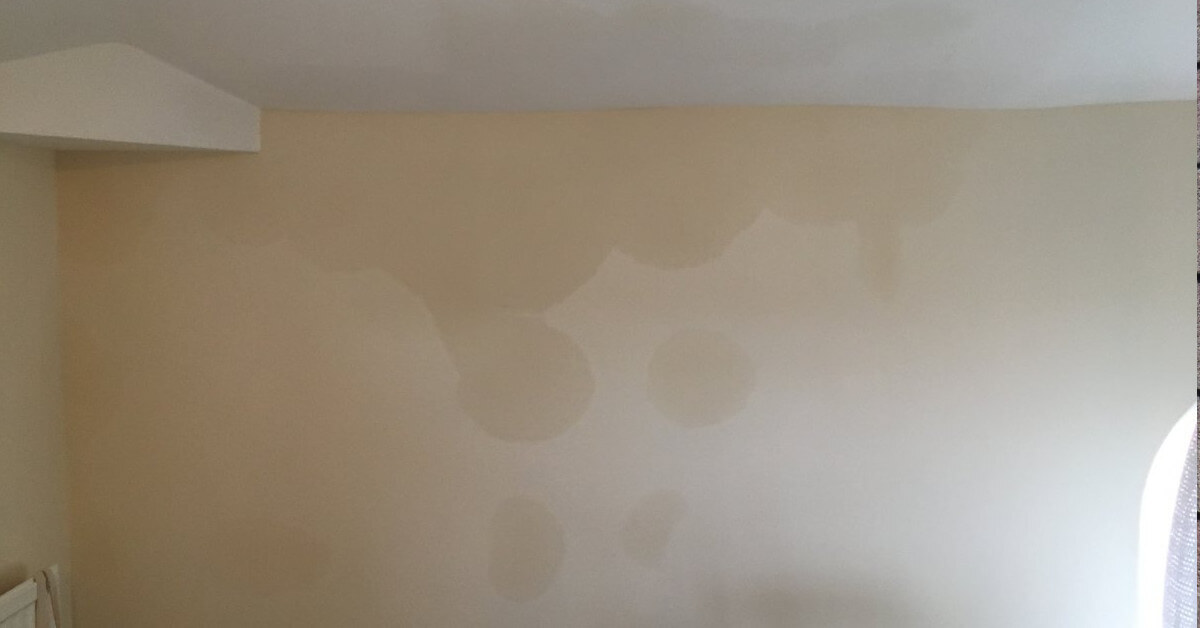 Moisture Meters: Essential Equipment for Water Mitigation