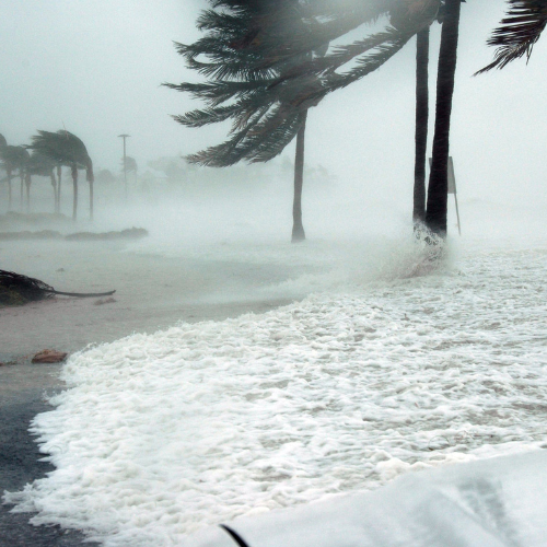 When is Hurricane Season | ServiceMaster Restore®