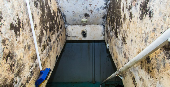 HOW TO GET RID OF MUSTY SMELLS IN THE BASEMENT