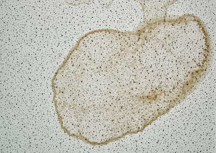 Preventing & Responding to Frozen Pipe Breaks | Fairmont, MN