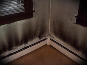 Puff Backs Are Dangerous But Can Be Avoided