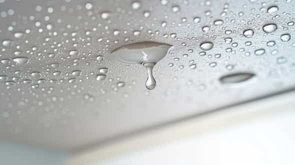 Ceiling Condensation: What Sweaty Ceilings Mean in Summer