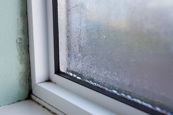 How High Humidity Leads to Mold | Gaithersburg, MD