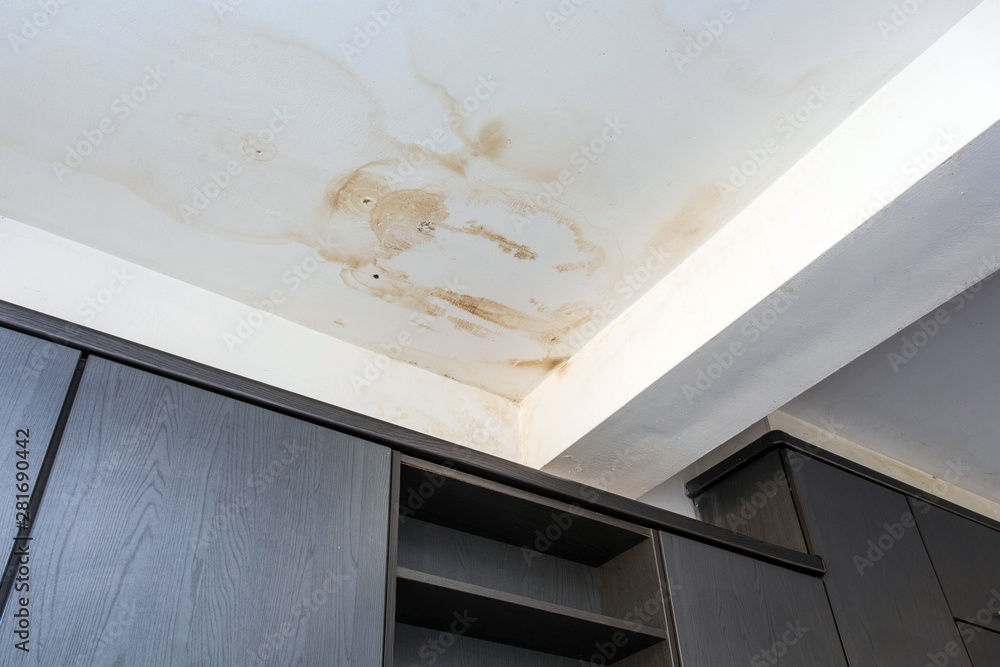 Water Damage Signs: How to Spot Warning Signs | Columbus, OH