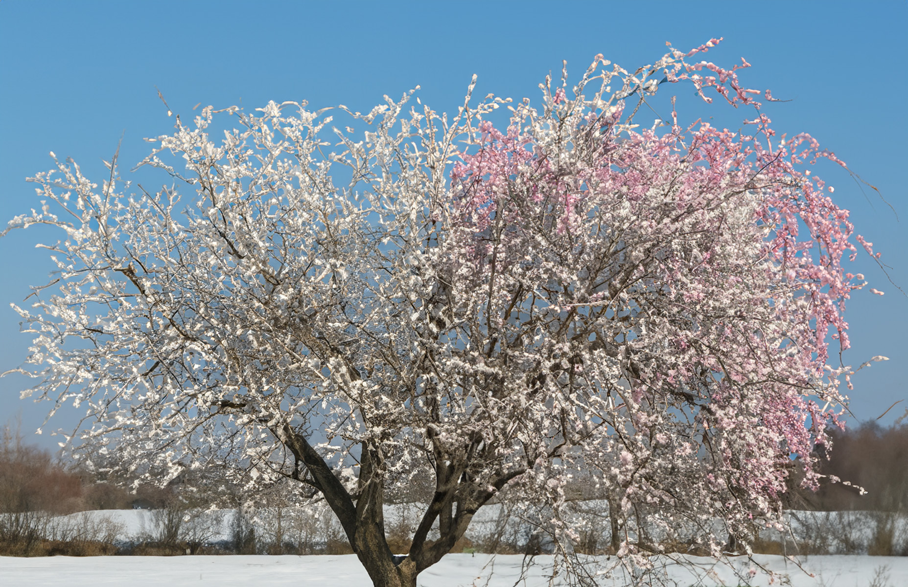 Home Checklist to Transition from Winter to Spring