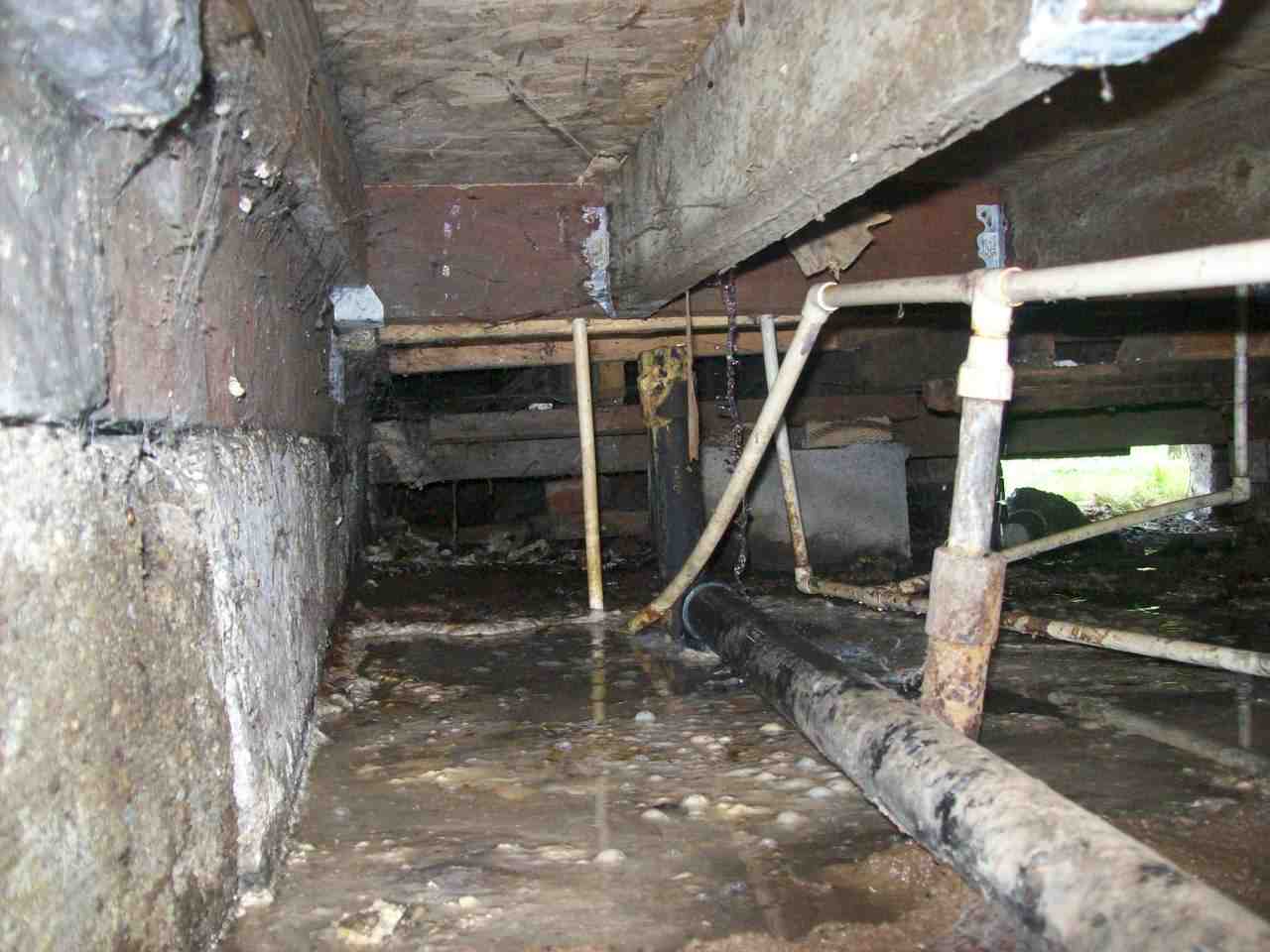 Water Damage under a house