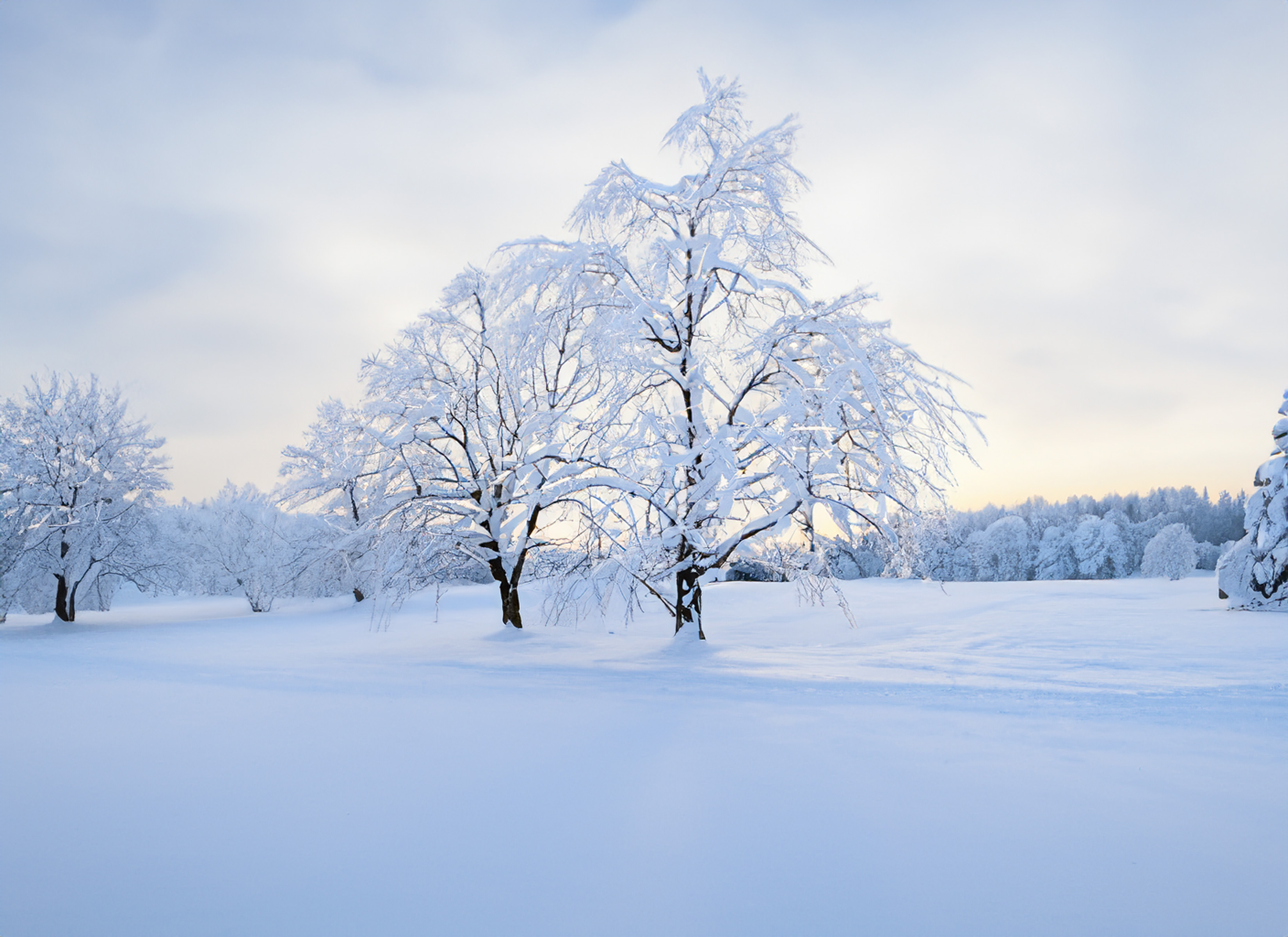 Winter Weather in February: Staying Warm and Safe in Salem, Oregon