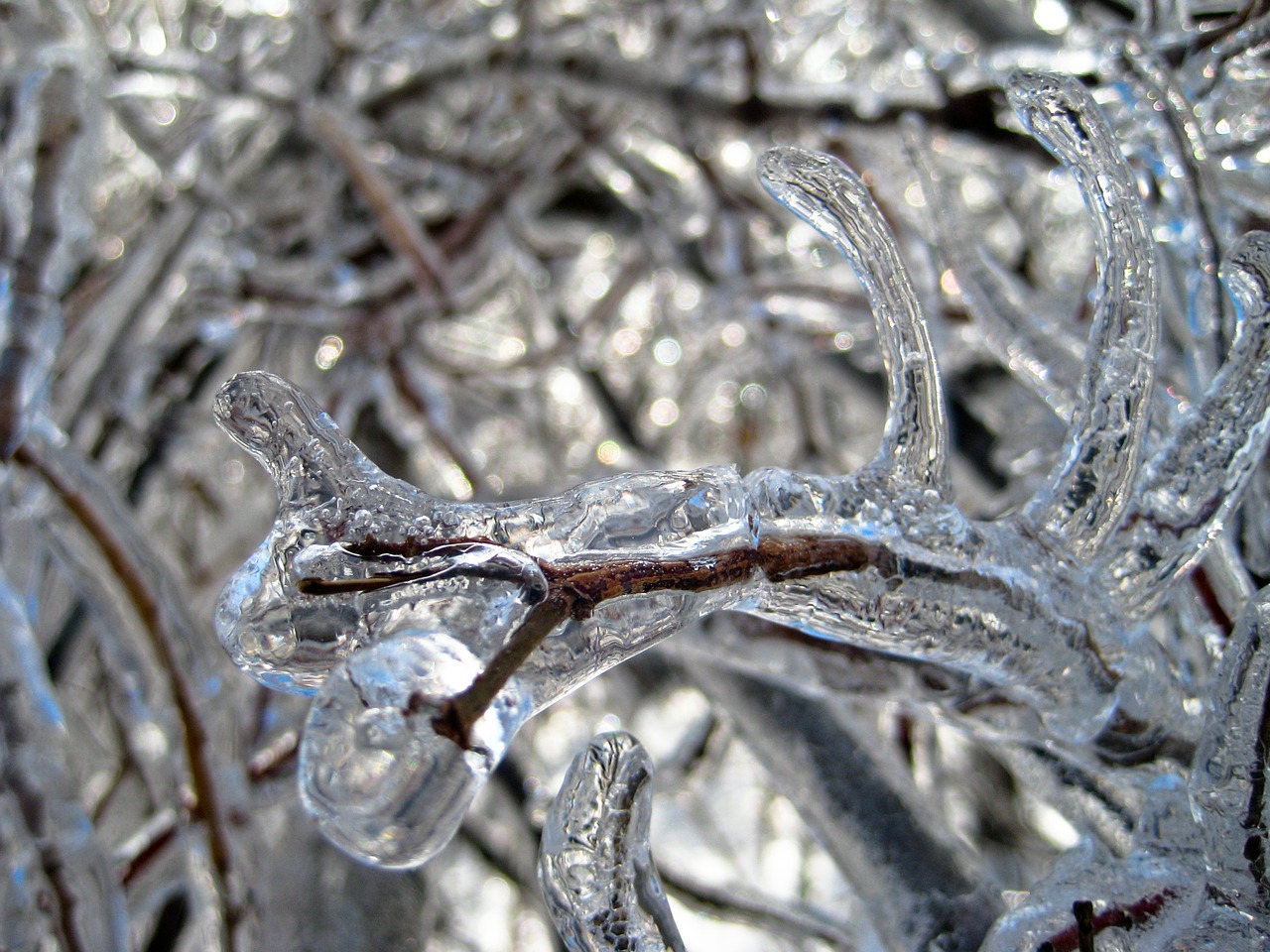 Freezing Rain: Why it’s So Dangerous and How to Stay Safe