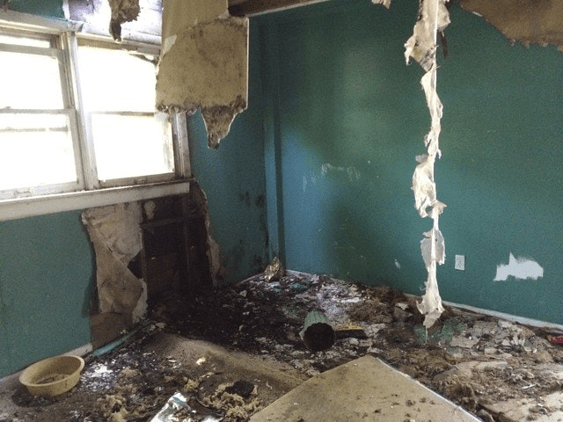 Eliminate Musty Smells from Water Damage with These Tips