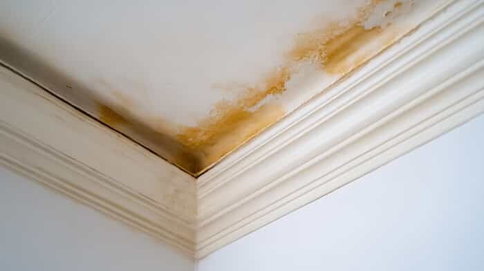 How to Fix Water Damaged Ceiling Guide | Bellingham, WA