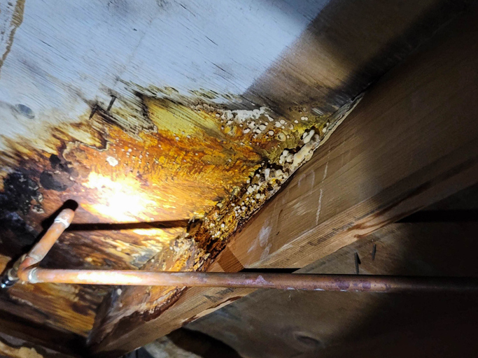 Crawl Space Moisture Monitoring Tips for Winter Protection