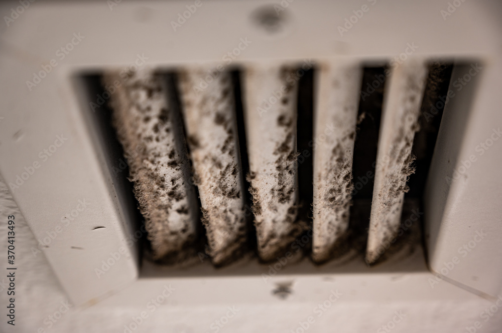 HVAC Mold in Ducts Prevention Guide | Heber City, UT