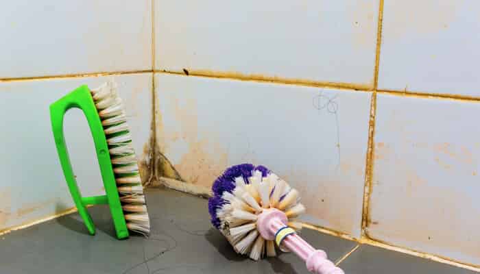 How to Get Rid of Water Damage Odor | Lexington, KY