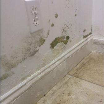 Water Damage Can Lead to Mold